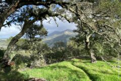Gaviota State Park Trails - Santa Barbara County Trails Council